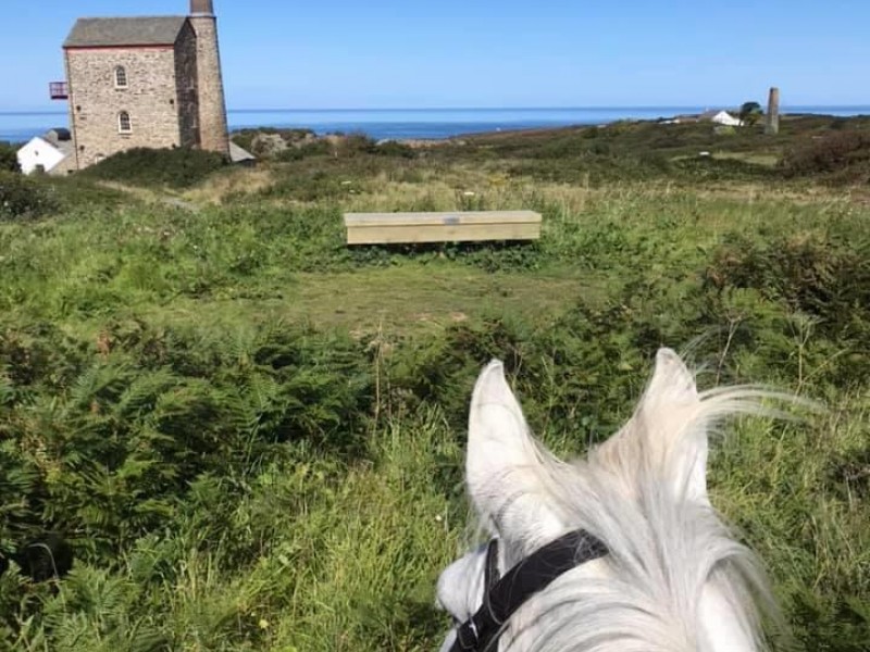 What's On | Goonbell Riding Centre