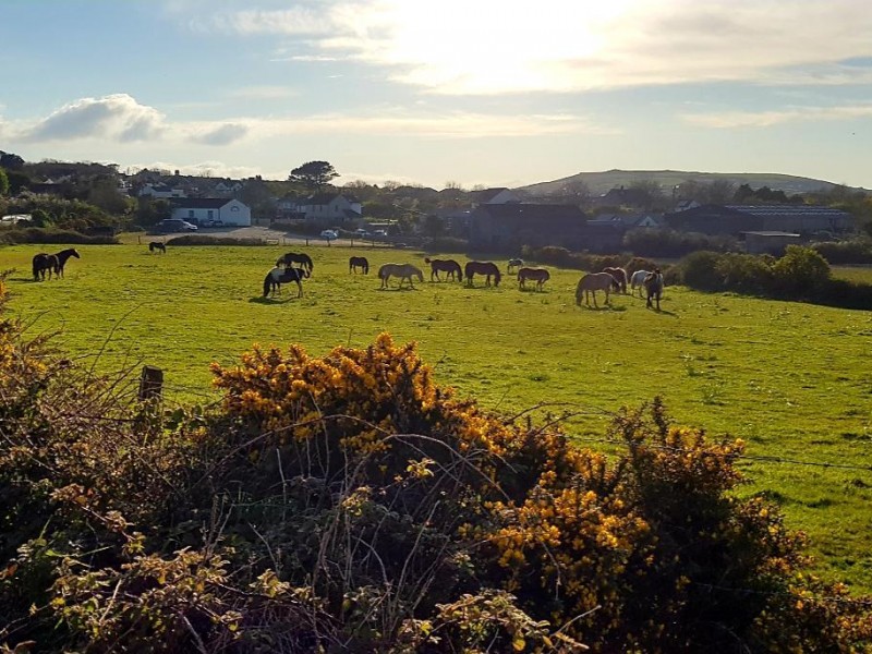 What's On | Goonbell Riding Centre