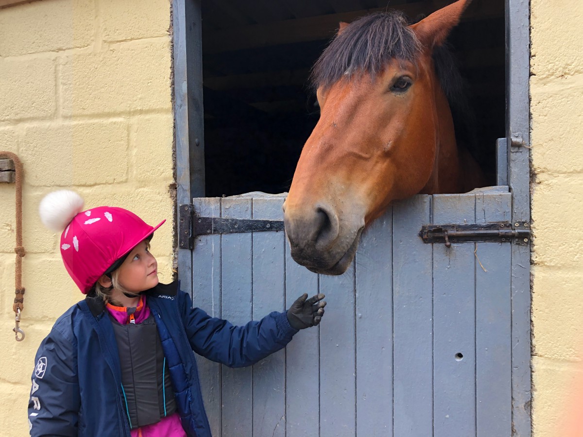 What's On | Goonbell Riding Centre