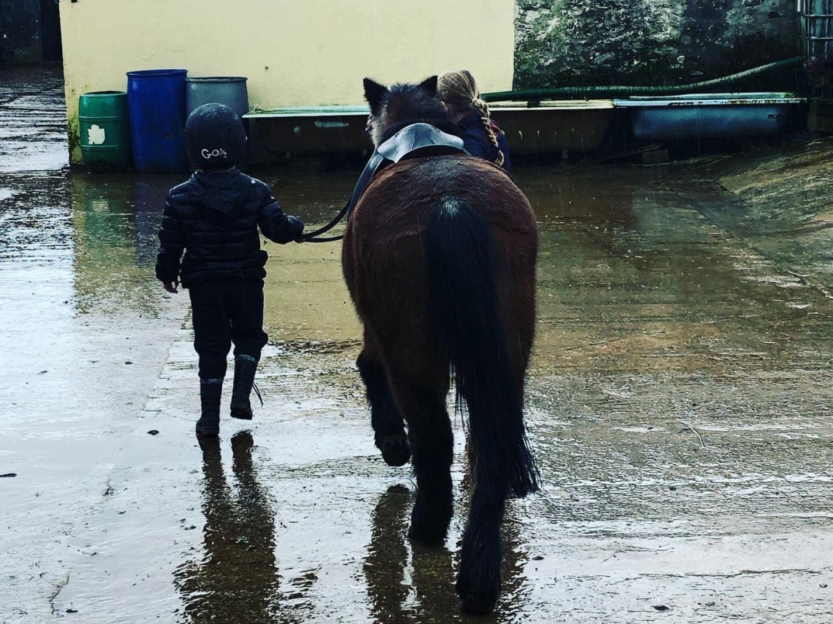 What's On | Goonbell Riding Centre