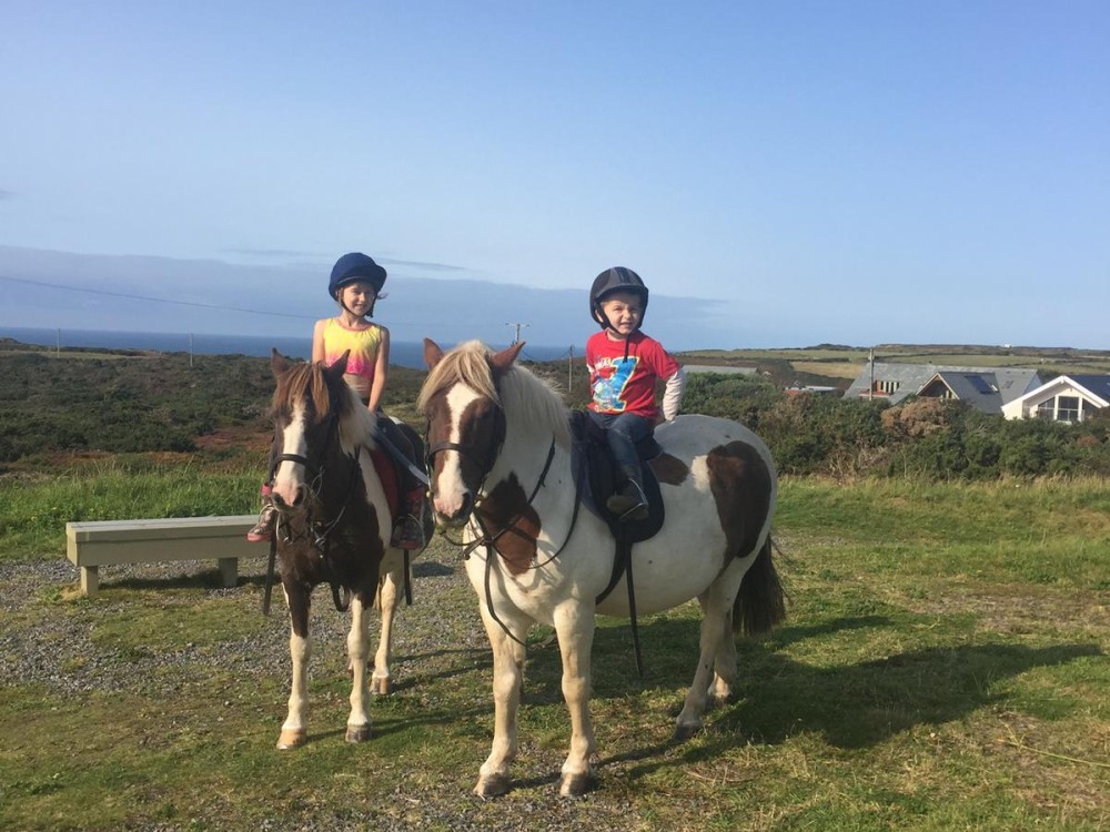 What's On | Goonbell Riding Centre