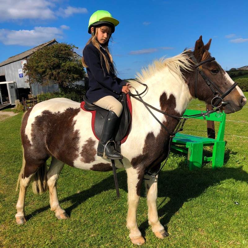 Riding Lessons | Goonbell Riding Centre